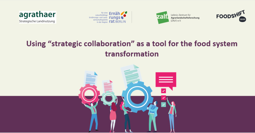 Strategic Collaboration: collectively shaping the food system ...