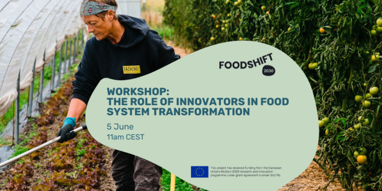 Workshop: The role of innovators in food system transformation – FoodSHIFT 2030